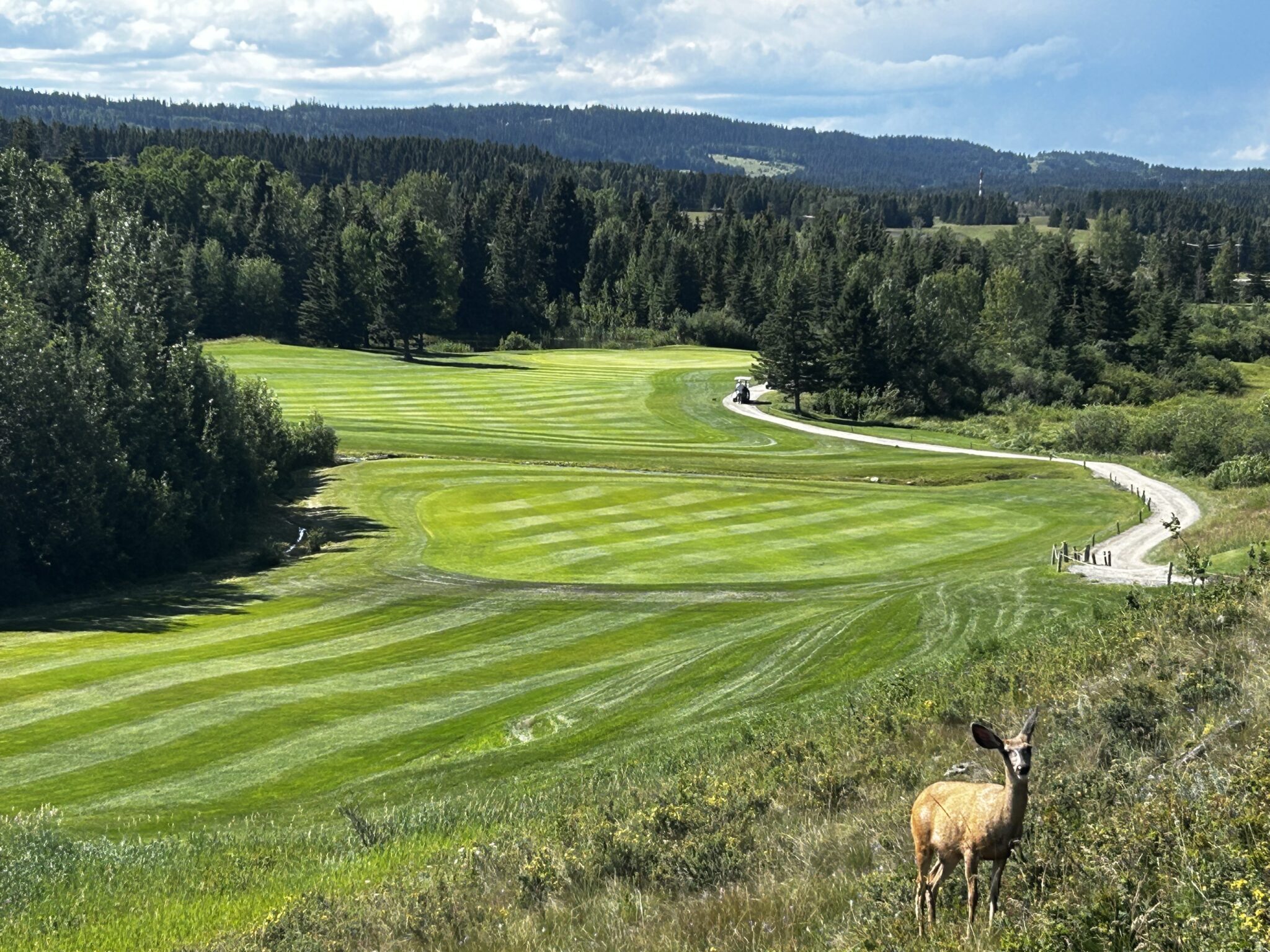 Public Golf Course Near Calgary | Foothills Golf Near Kananaskis